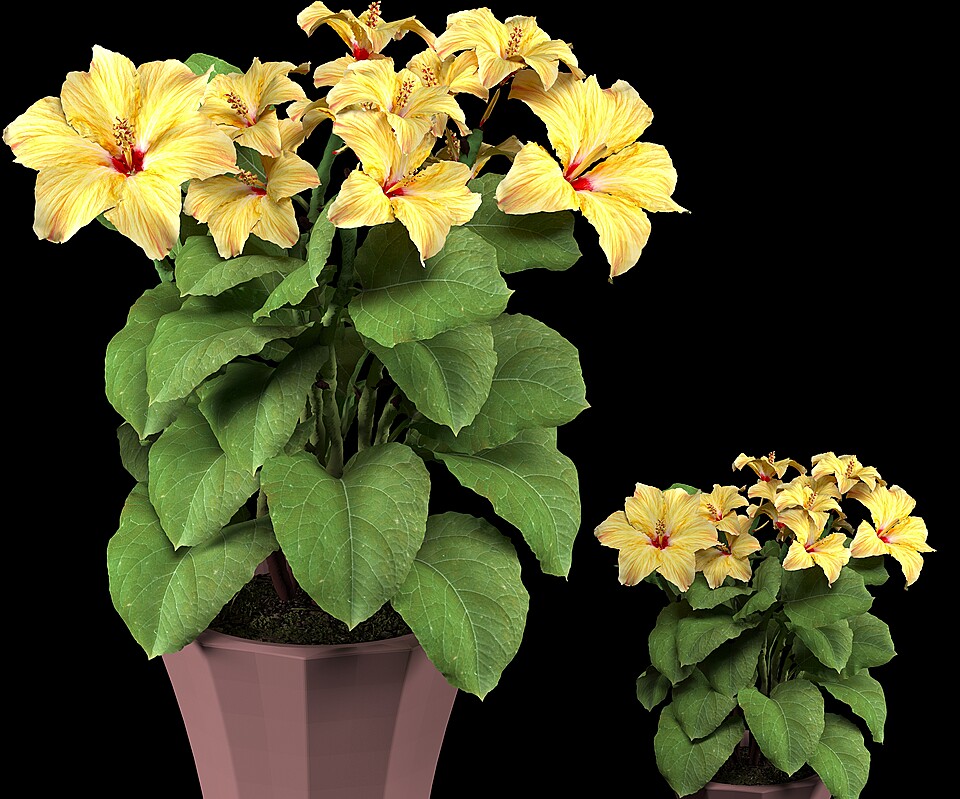 Cubebrush - Curated digital assets & resources