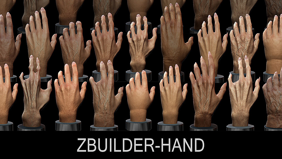 Zbuilder Hand