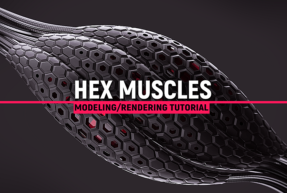 Modeling Hex Muscles in Blender