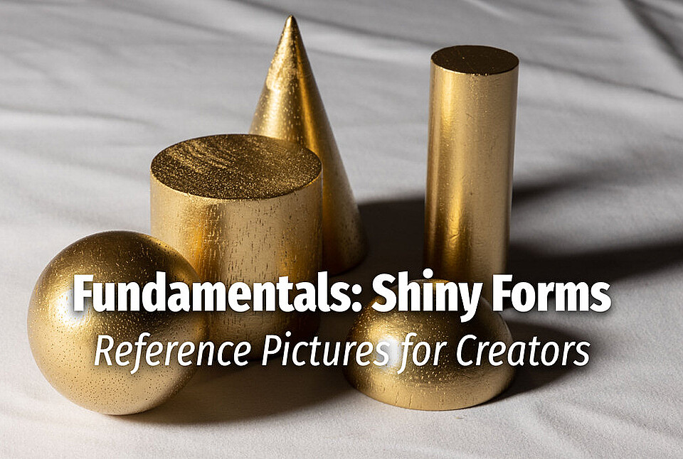 Fundamentals: Shiny Forms