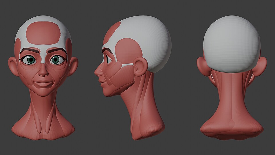 Head Stylized Anatomy Blockout