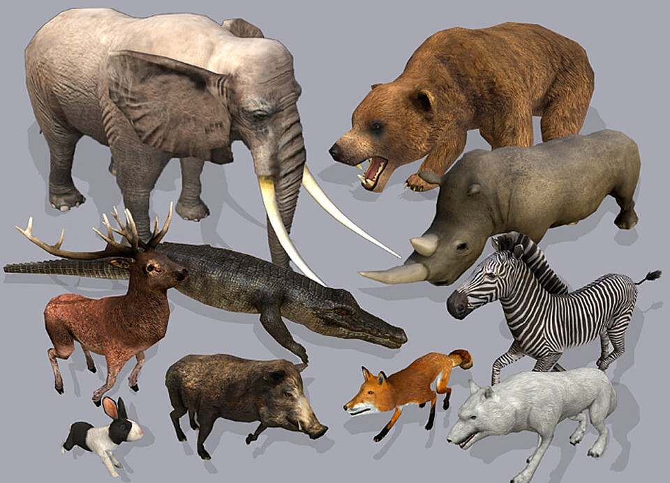 Low Poly Africa Animal Collection - Animated