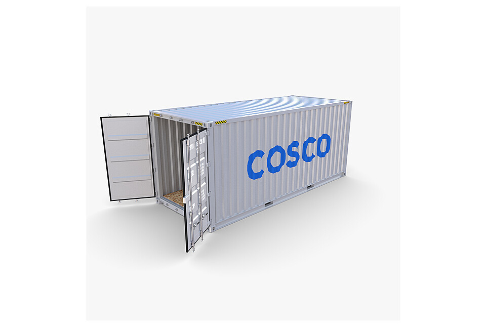 20ft Shipping Container Cosco v2