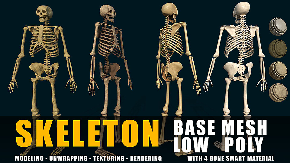 High Quality low poly Human Skeleton base mesh