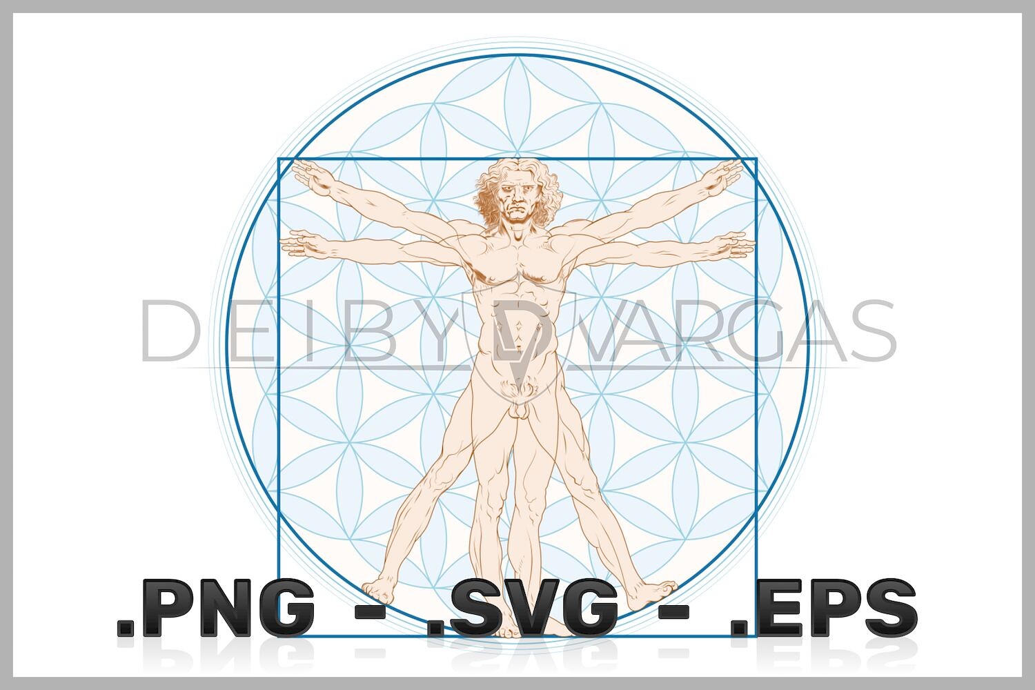 Vitruvian Man Vector Designs