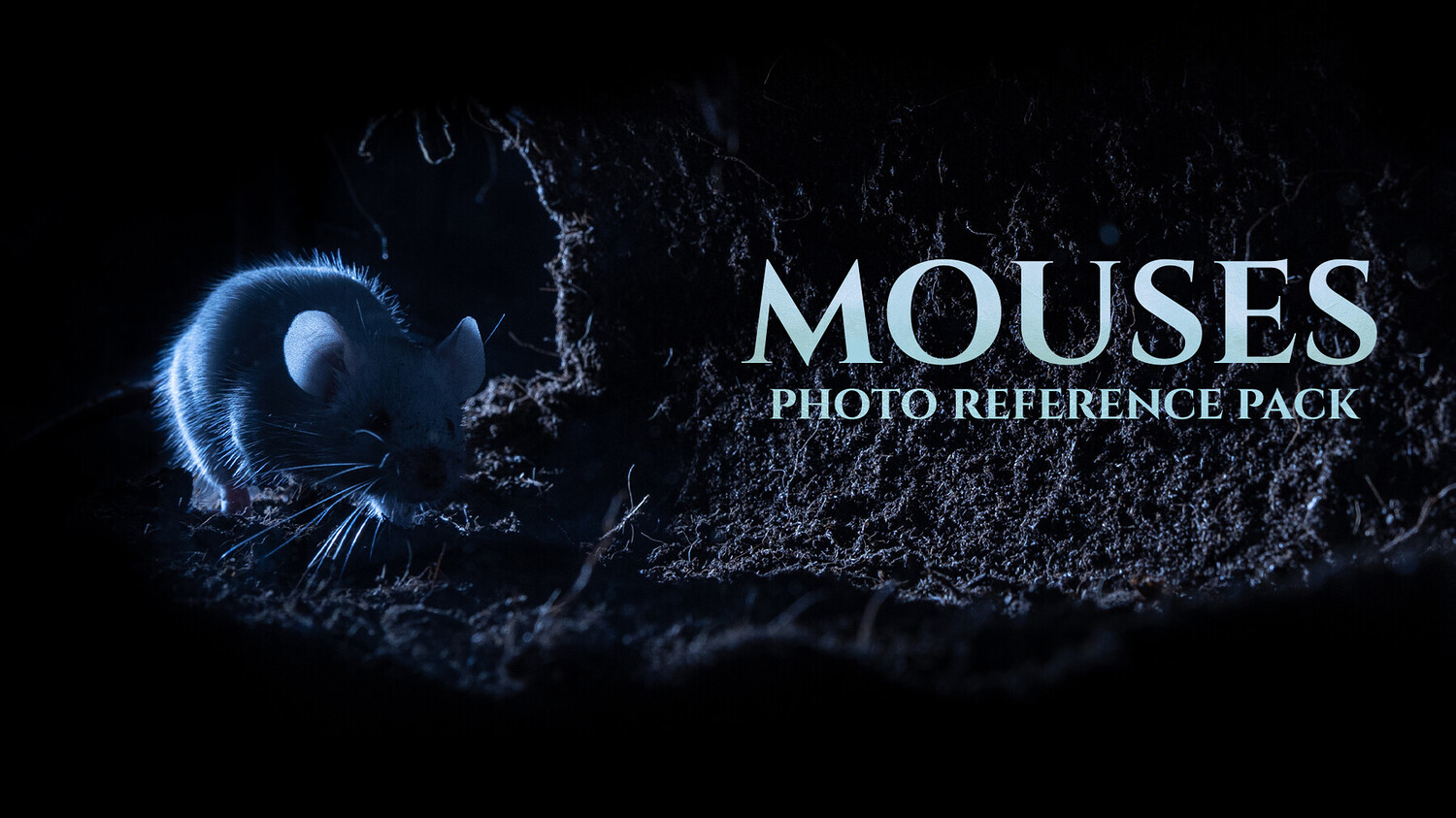 Mice - Reference Photo Pack For Artists 357 JPEGs noAI