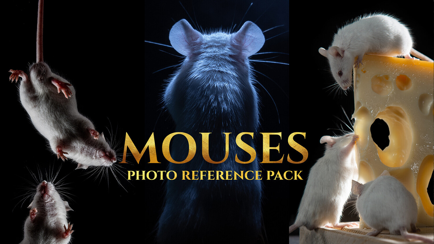 Mice - Reference Photo Pack For Artists 357 JPEGs noAI