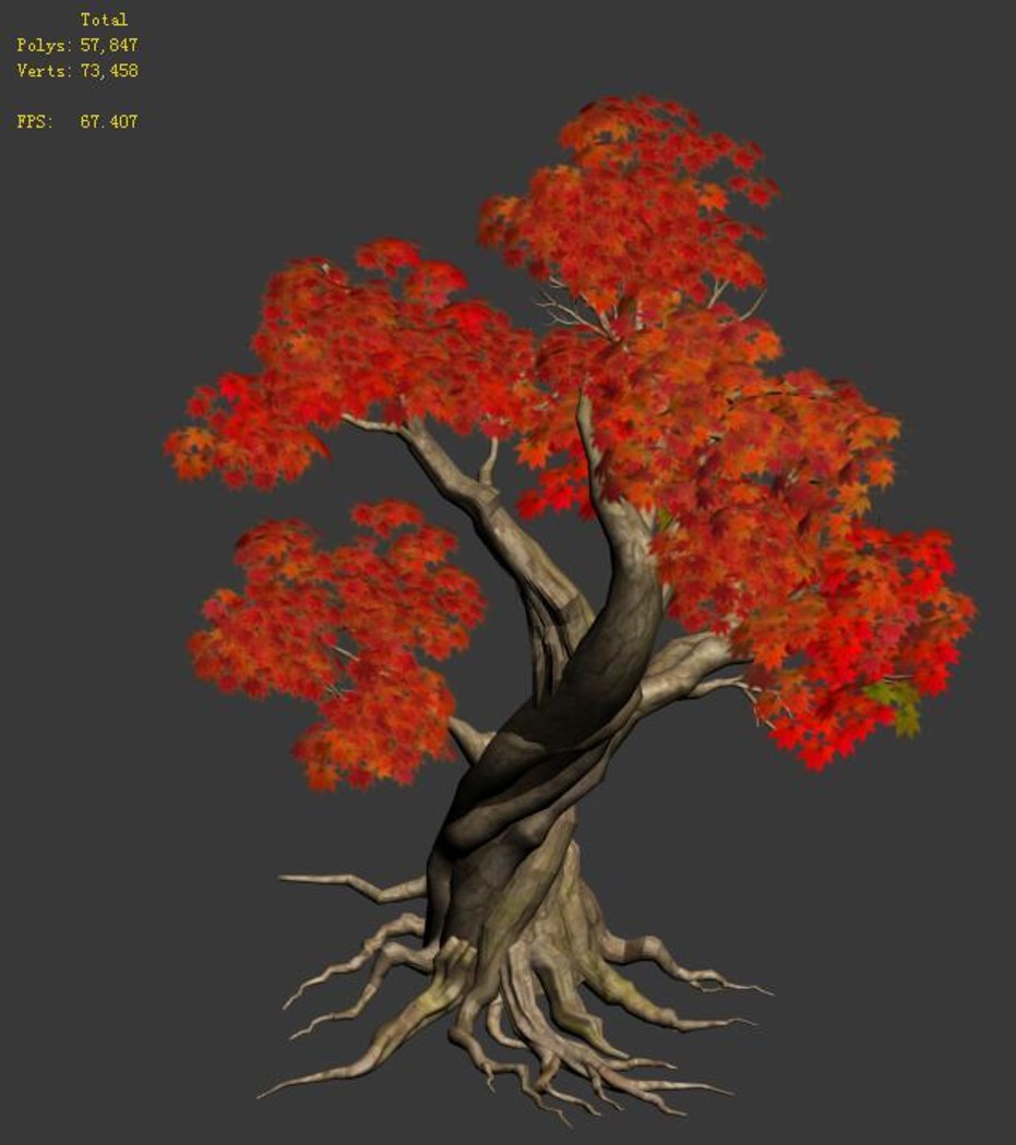 Forest - Maple 10