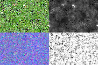 10 Tileable 2K Grass Texture