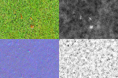 10 Tileable 2K Grass Texture