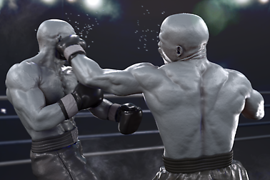 3D Boxing Model
