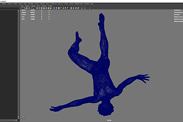 Falling 3D Model - male anatomy