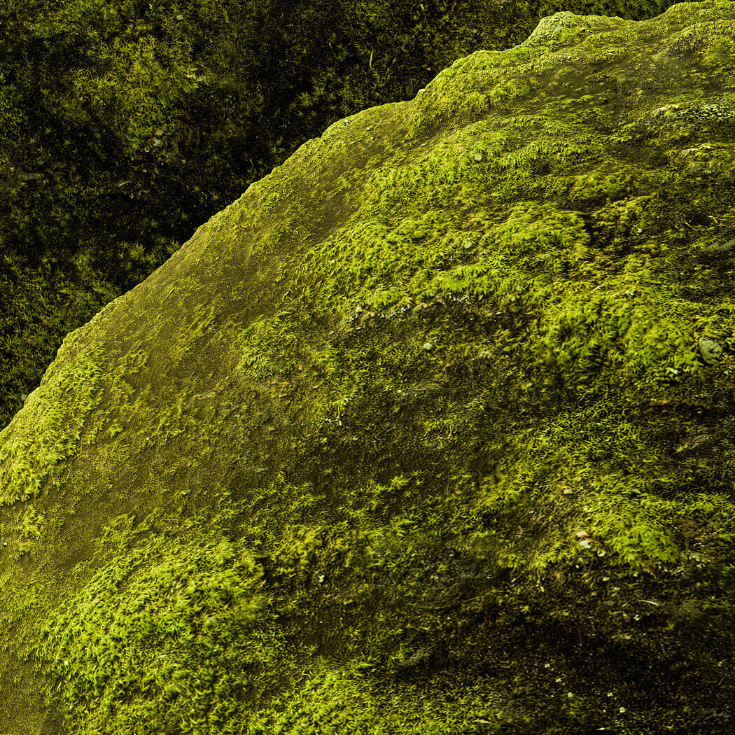 Moss 2 - 8K ST (5 variations)