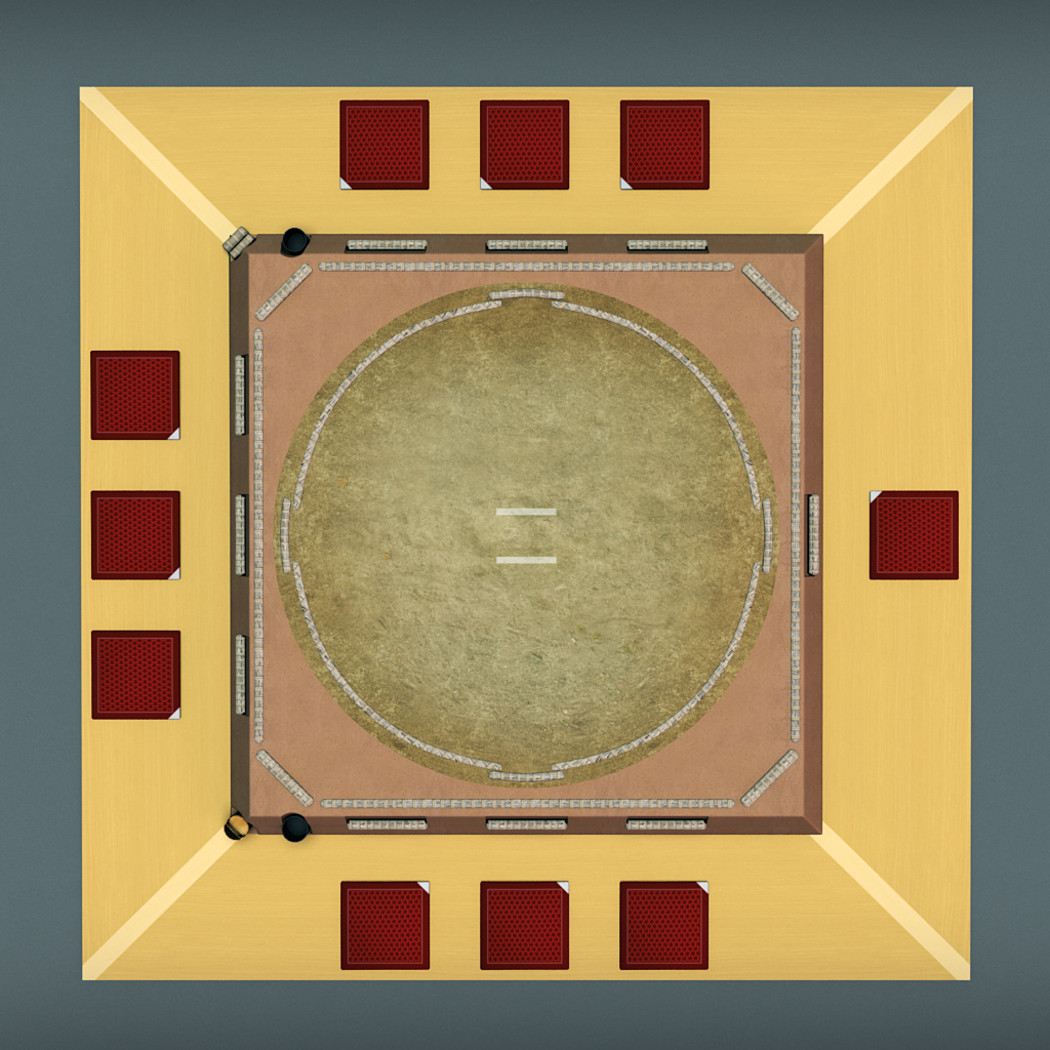 Sumo dojo arena stadium ring