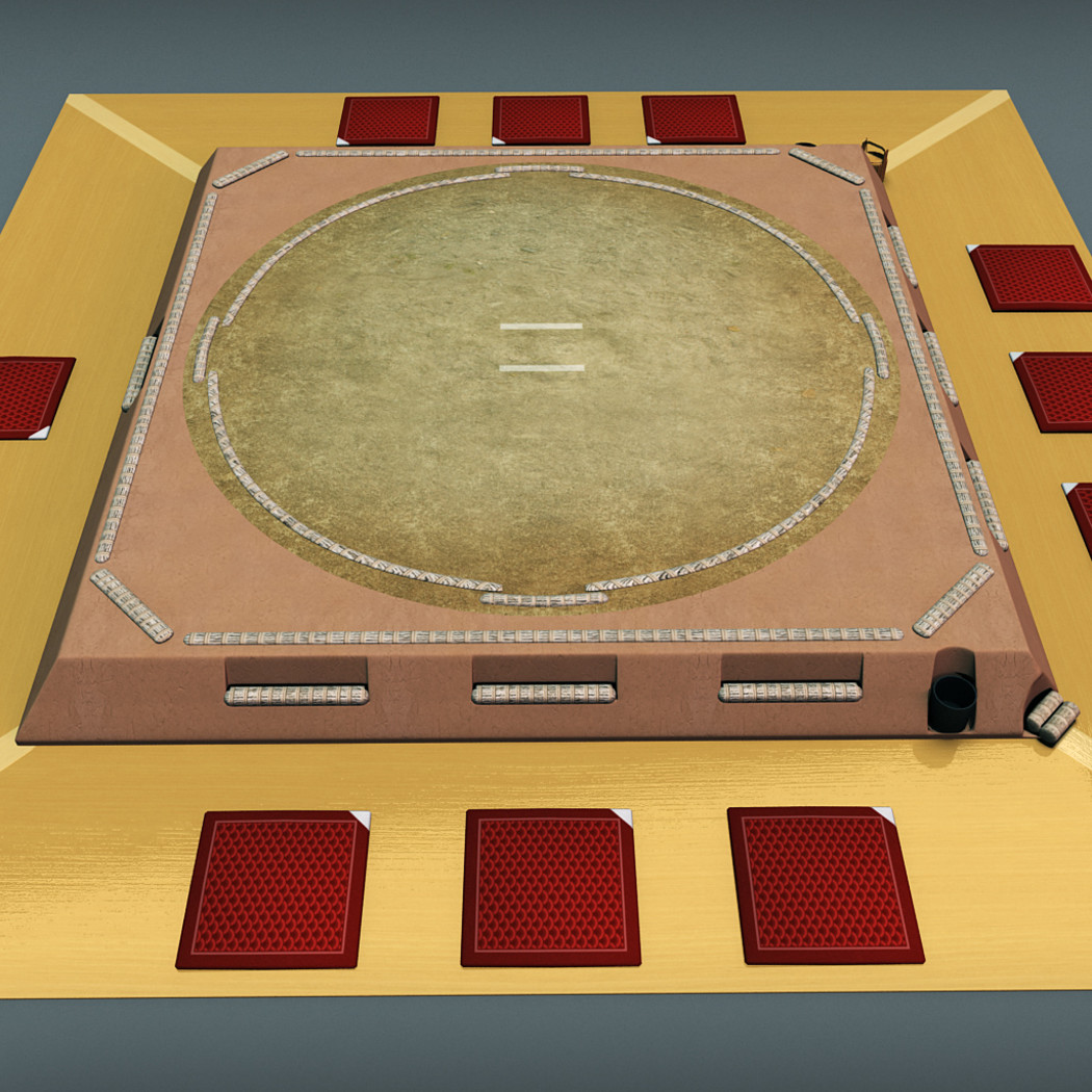 Sumo dojo arena stadium ring