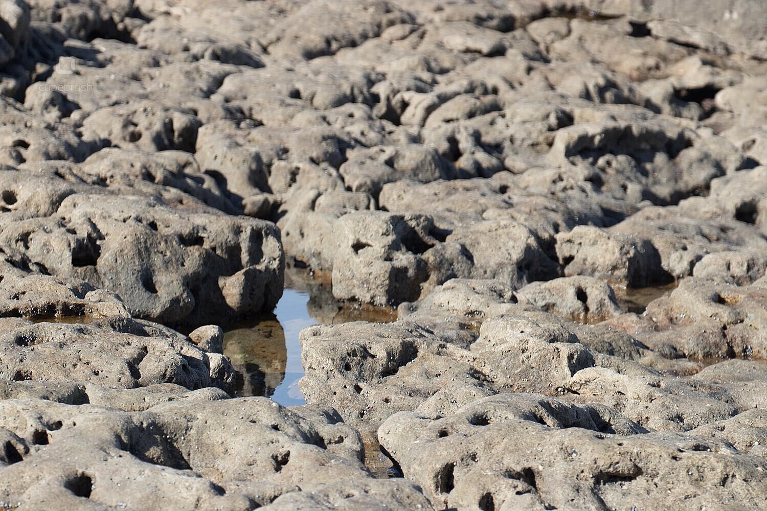 70 photos of Sponge Marine Rocks and Boulders