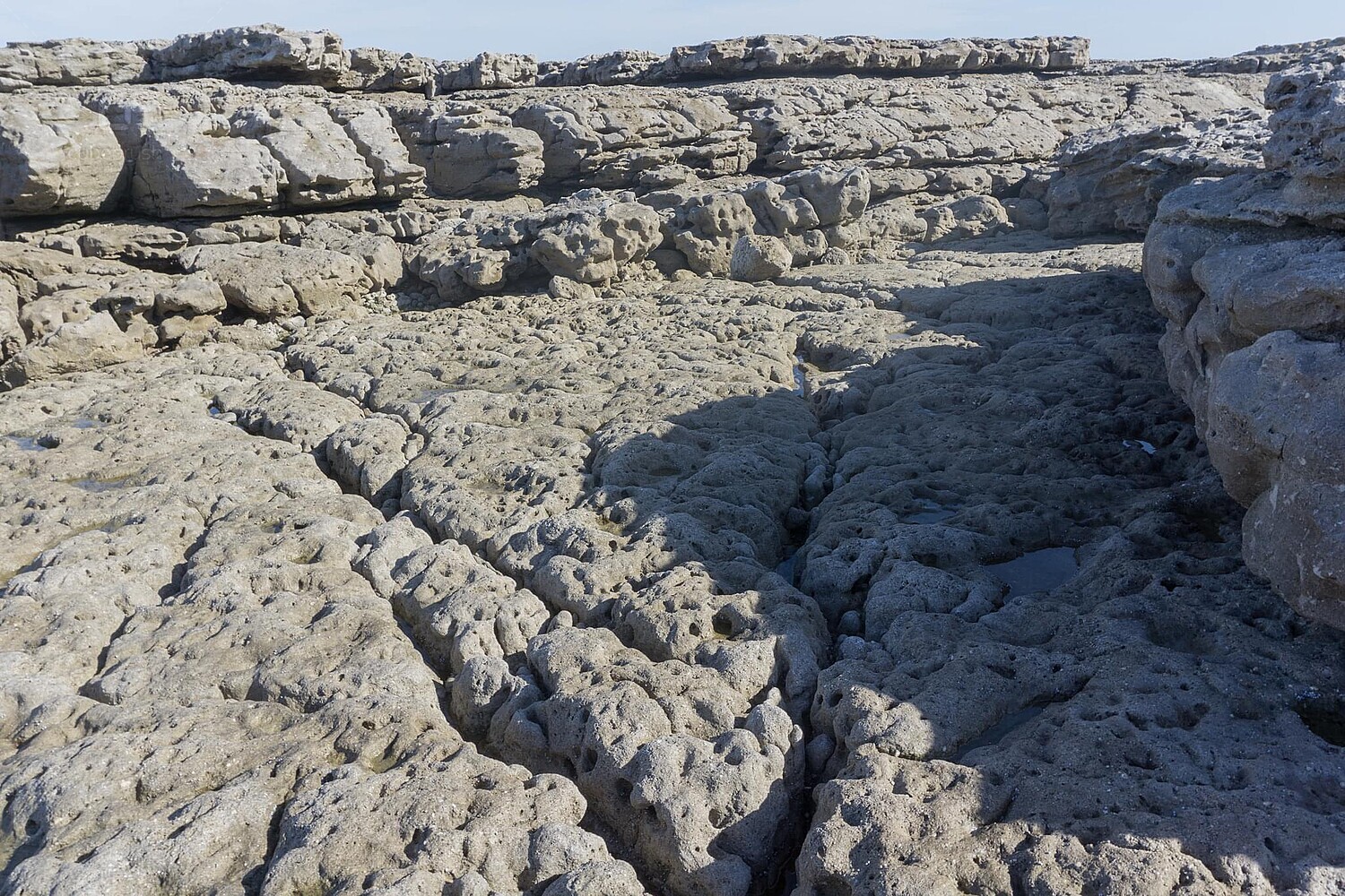 70 photos of Sponge Marine Rocks and Boulders