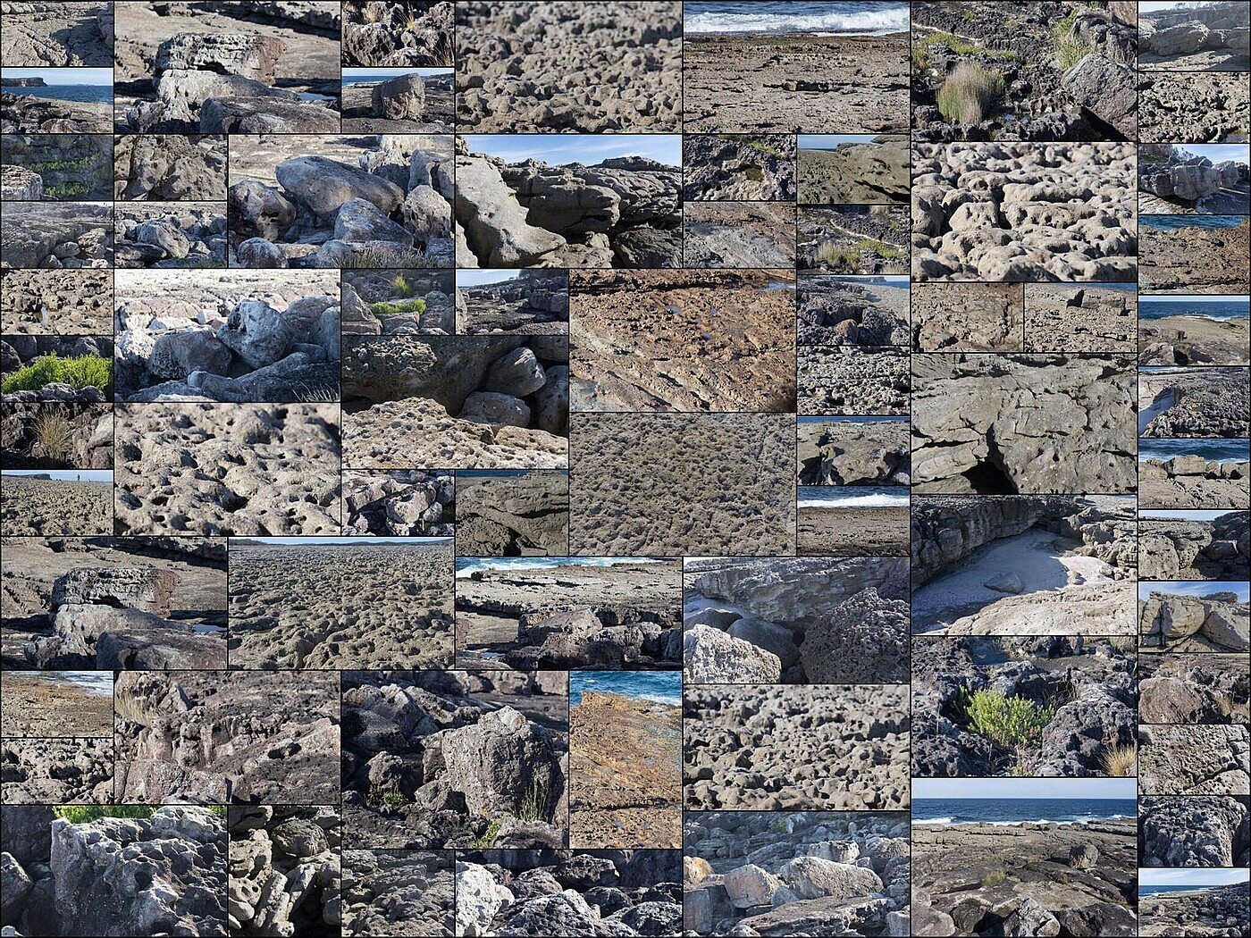 70 photos of Sponge Marine Rocks and Boulders