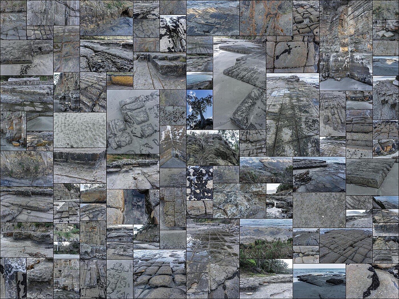 393 photos of Tesselated Rock Pavement and Cliffs