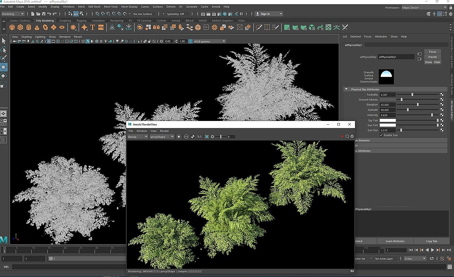 Adiantum Capillus Veneris Fenr Bush