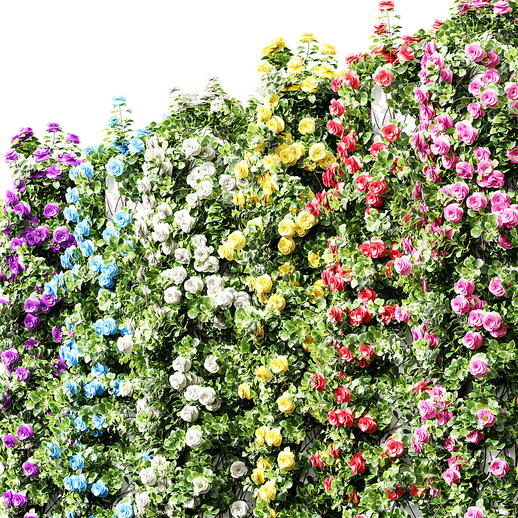 Climbing Roses Cylinder Columns